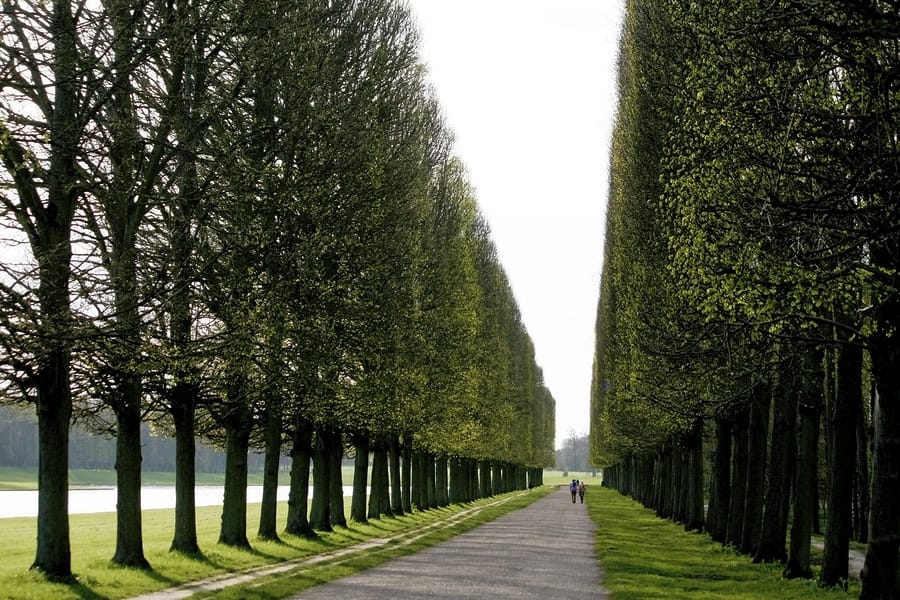 What Is The Vanishing Point In A Work Of Art 2nd Lent C 2019